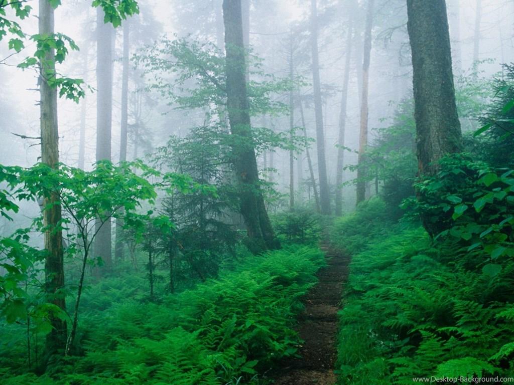 Appalachian Mountains Wallpapers - Wallpaper Cave