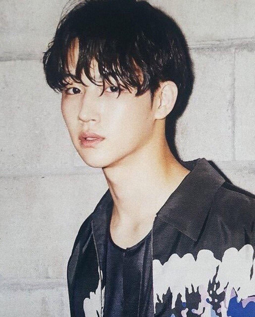 Lizkook Wallpapers - Wallpaper Cave