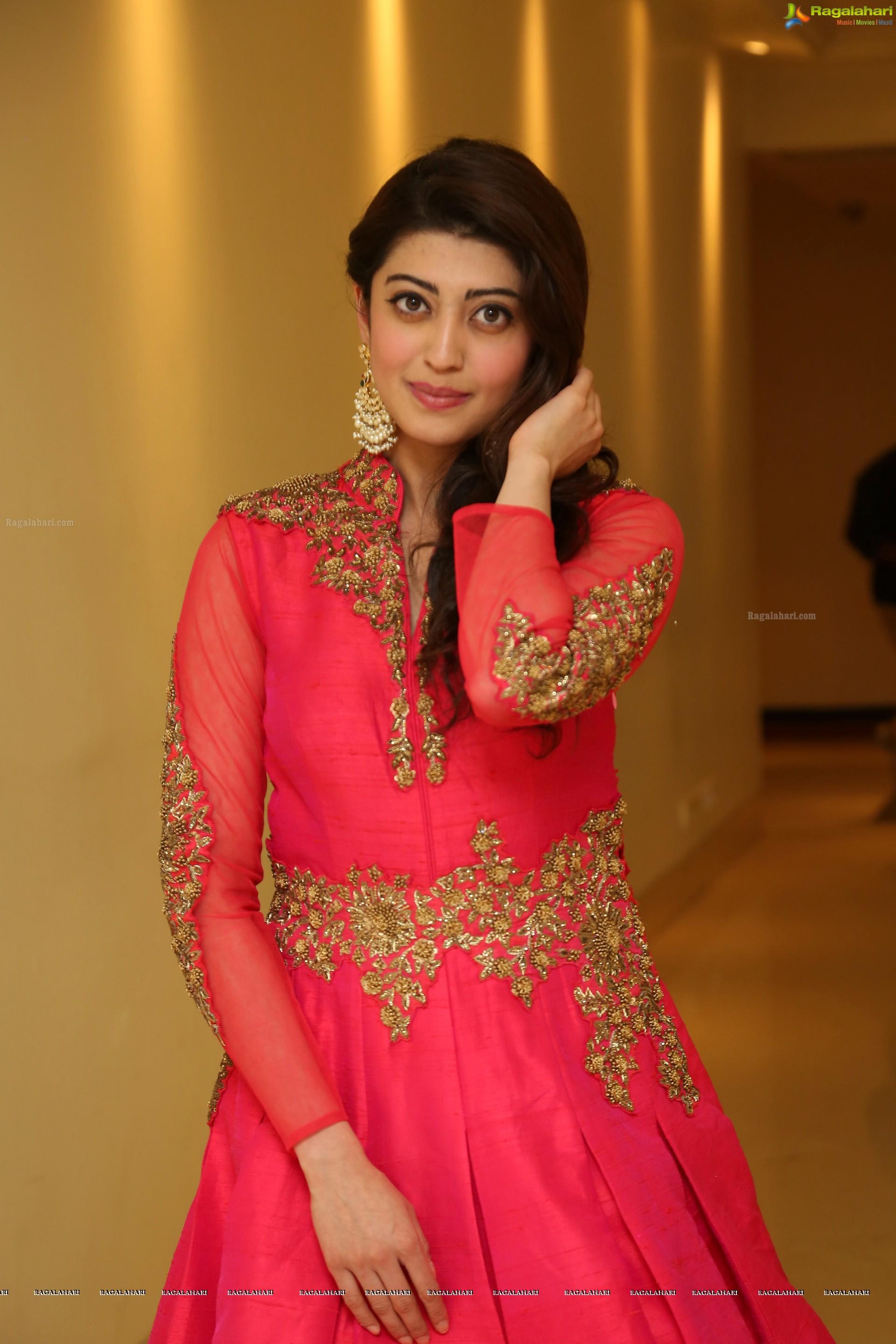 Pranitha Subhash Wallpapers - Wallpaper Cave