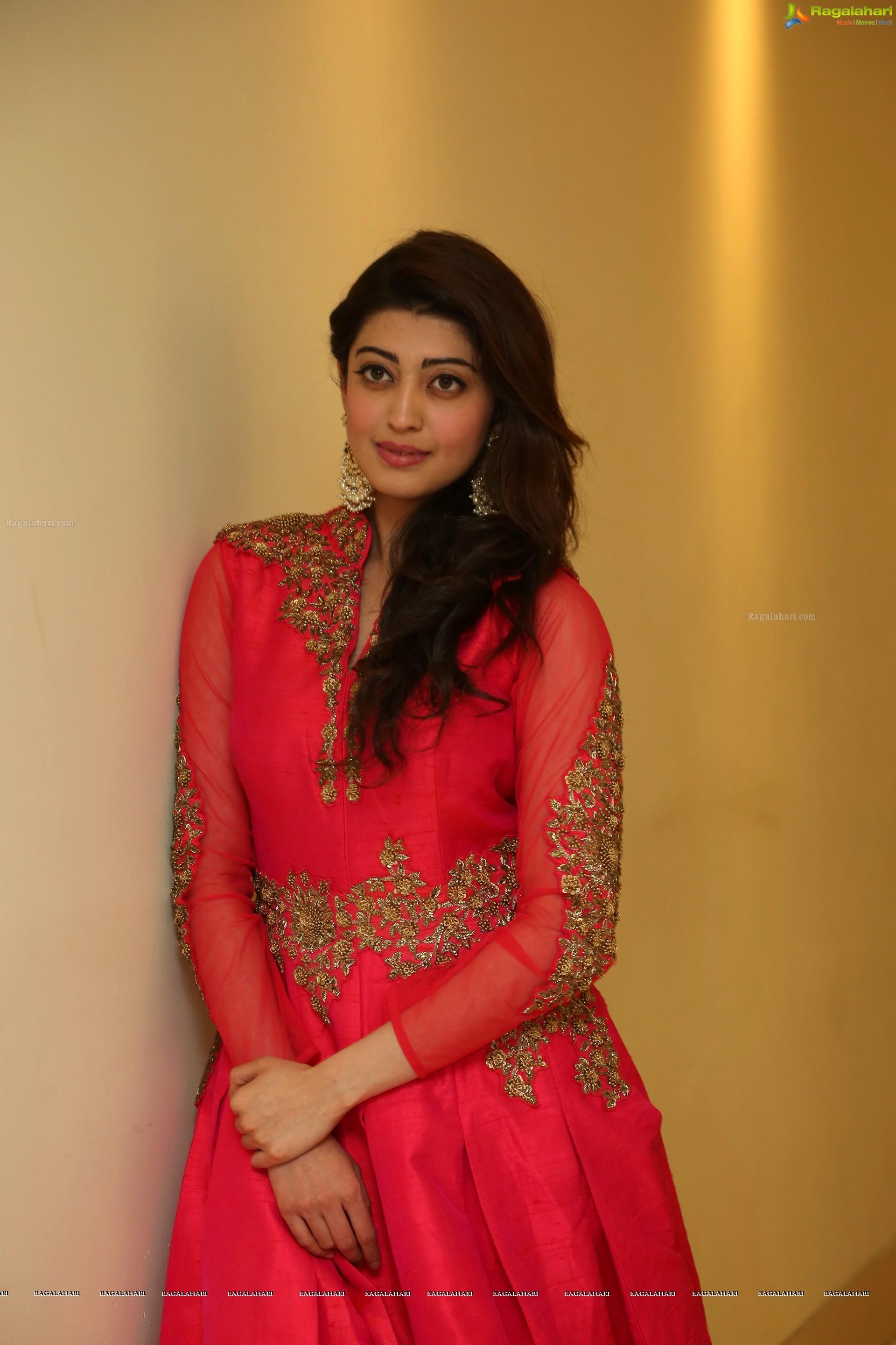 Pranitha Subhash Wallpapers - Wallpaper Cave