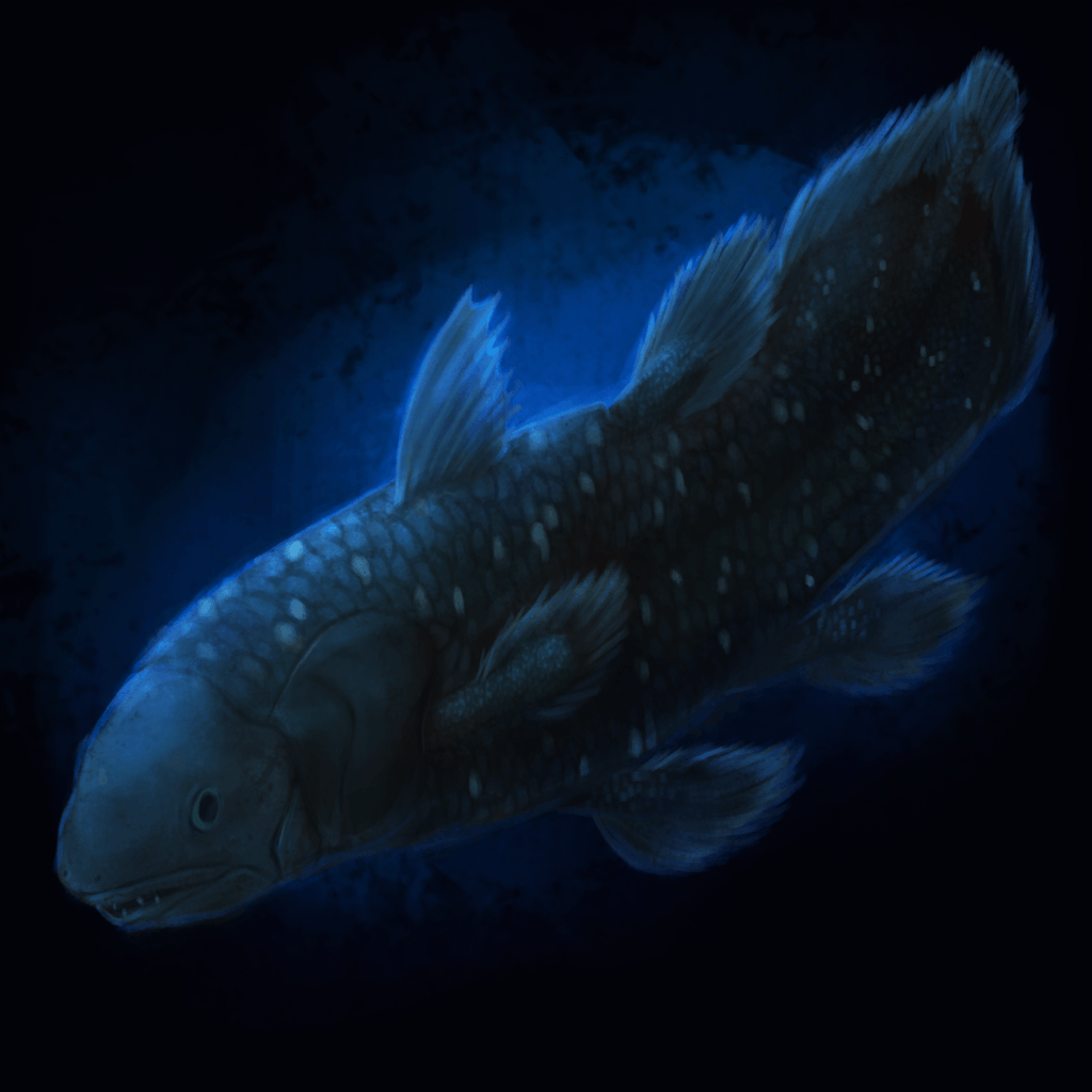 Coelacanth Wallpapers - Wallpaper Cave