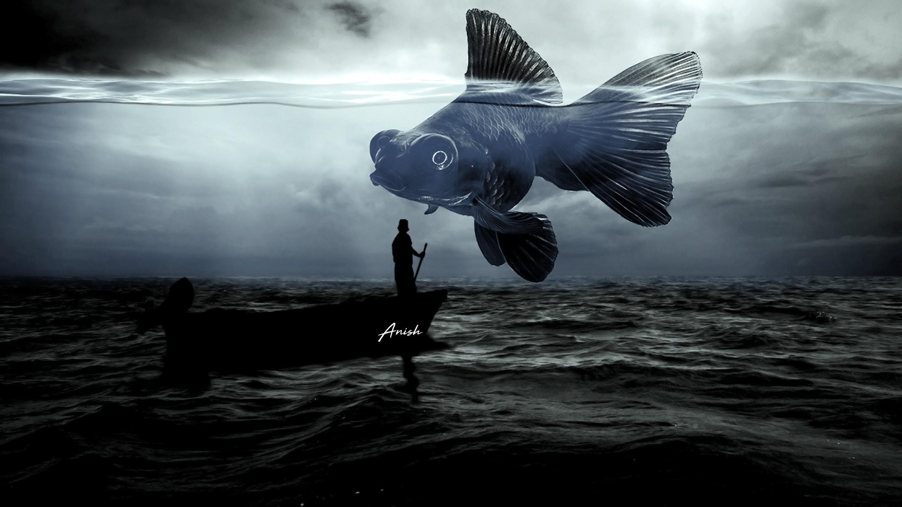 Coelacanth Wallpapers - Wallpaper Cave