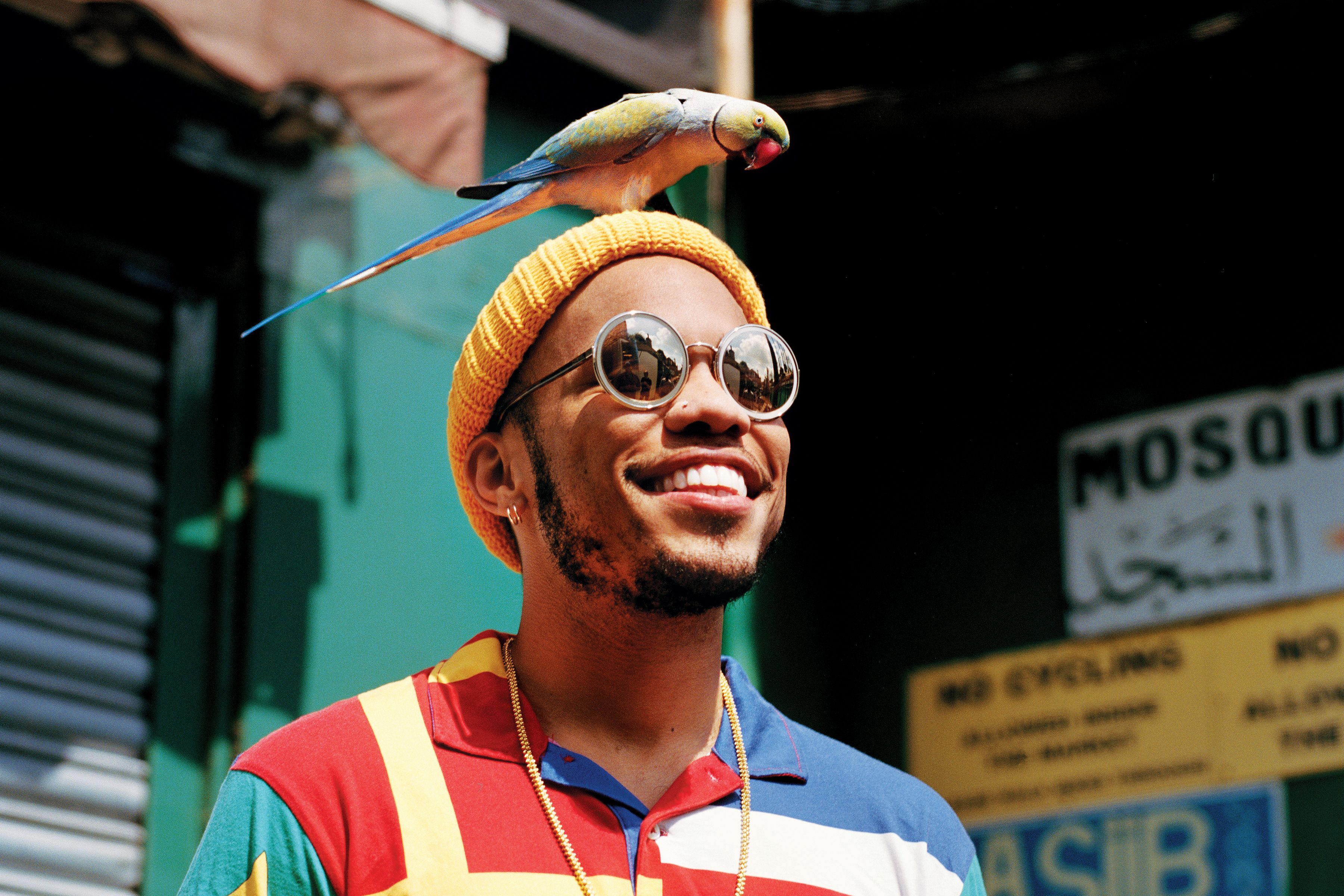 Anderson .Paak King James Wallpapers - Wallpaper Cave
