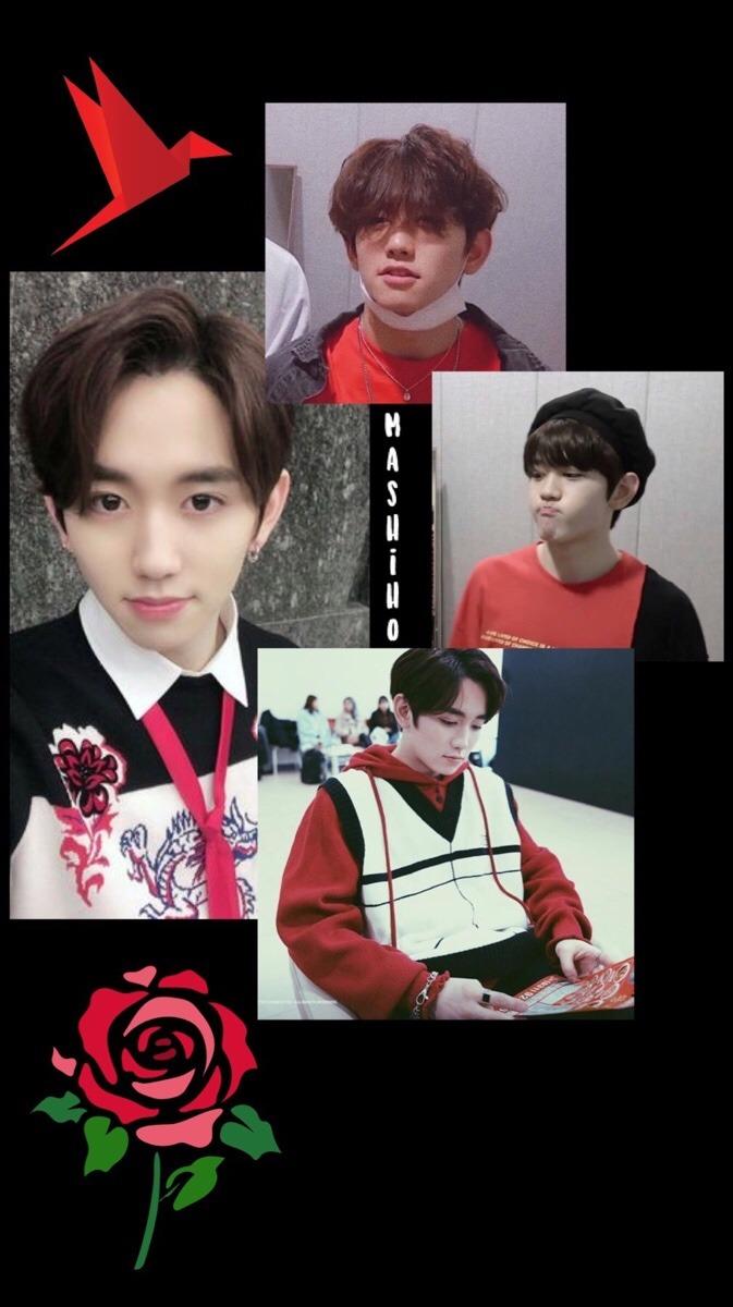 Mashiho Wallpapers - Wallpaper Cave