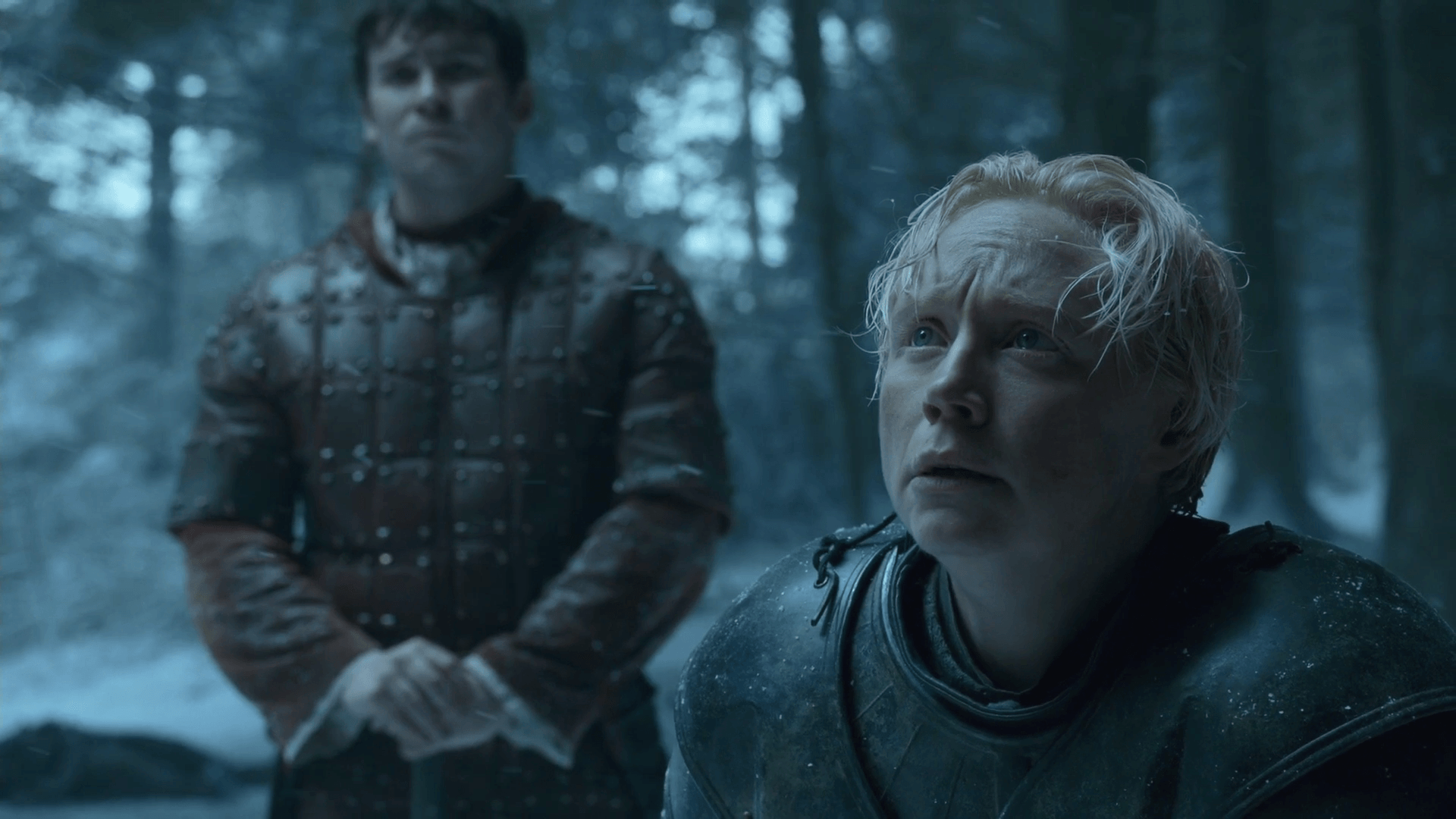 Brienne Of Tarth Wallpapers - Wallpaper Cave