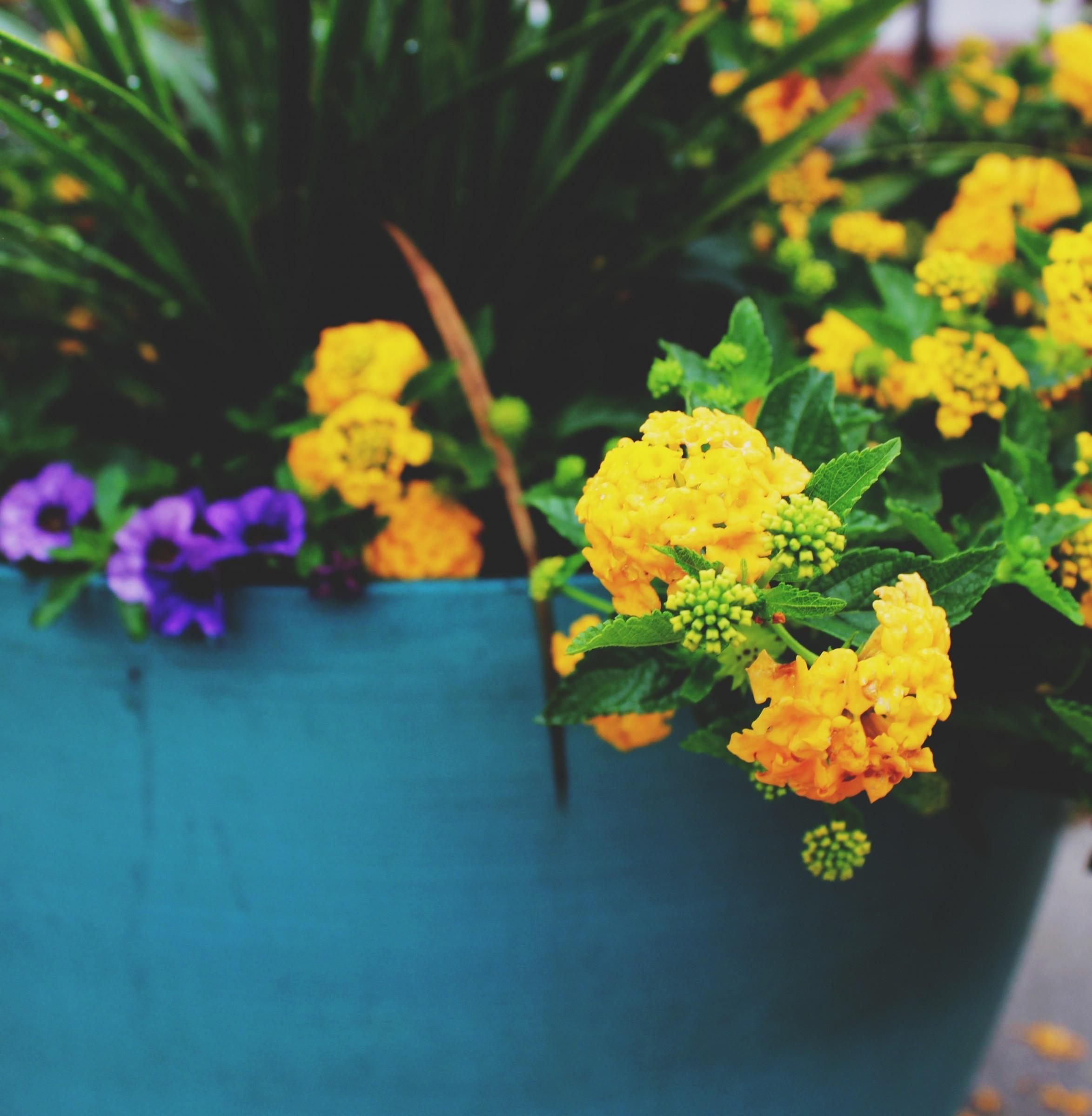 Pot Wallpapers - Wallpaper Cave