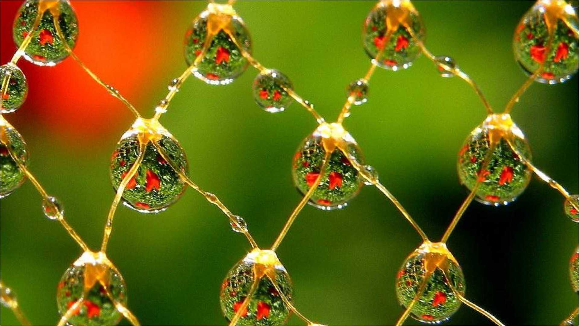 Drops Wallpapers - Wallpaper Cave