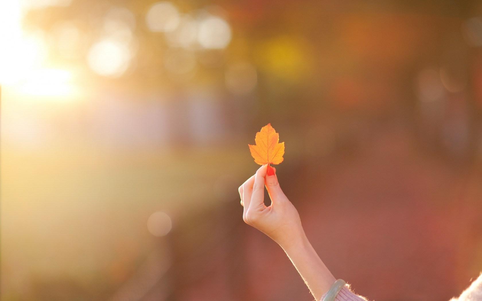 Girl And Fall Wallpapers - Wallpaper Cave