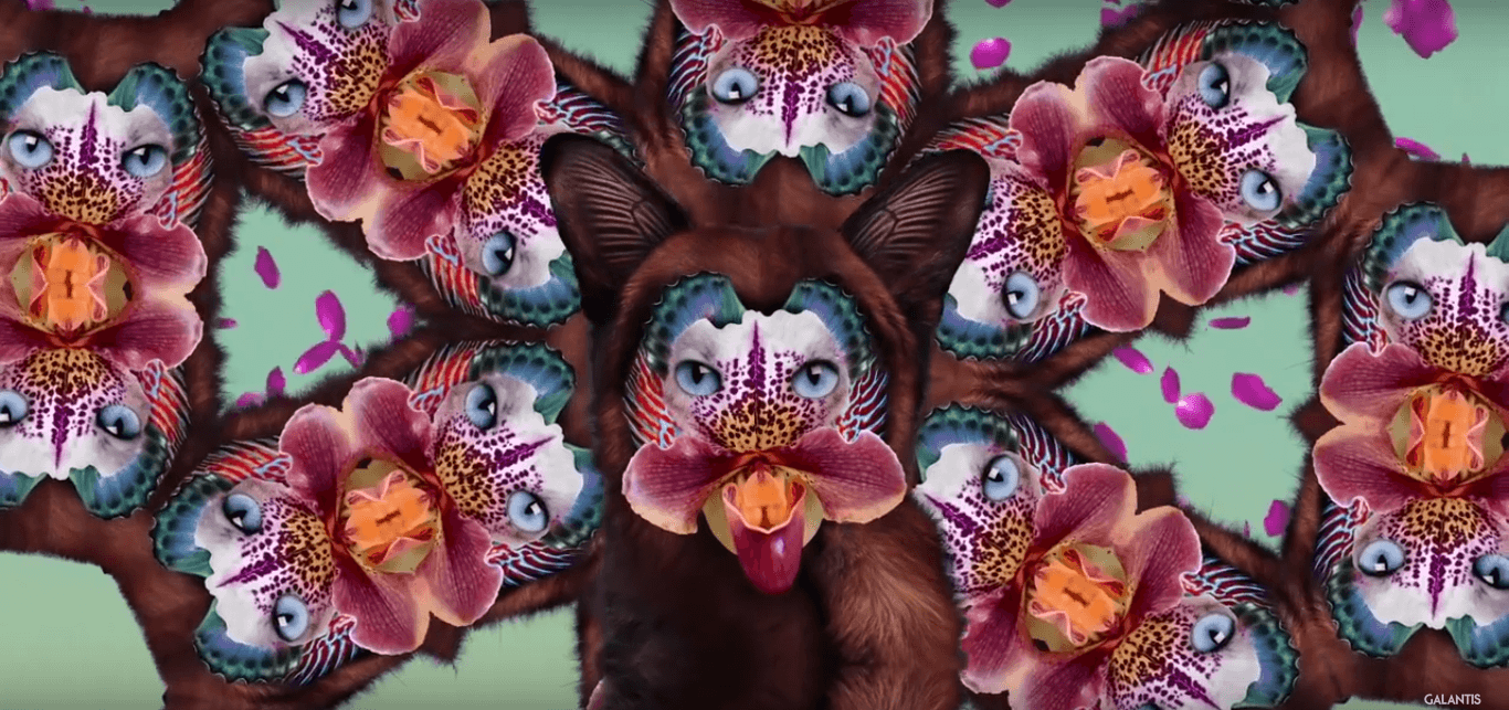 Galantis No Money Wallpapers - Wallpaper Cave