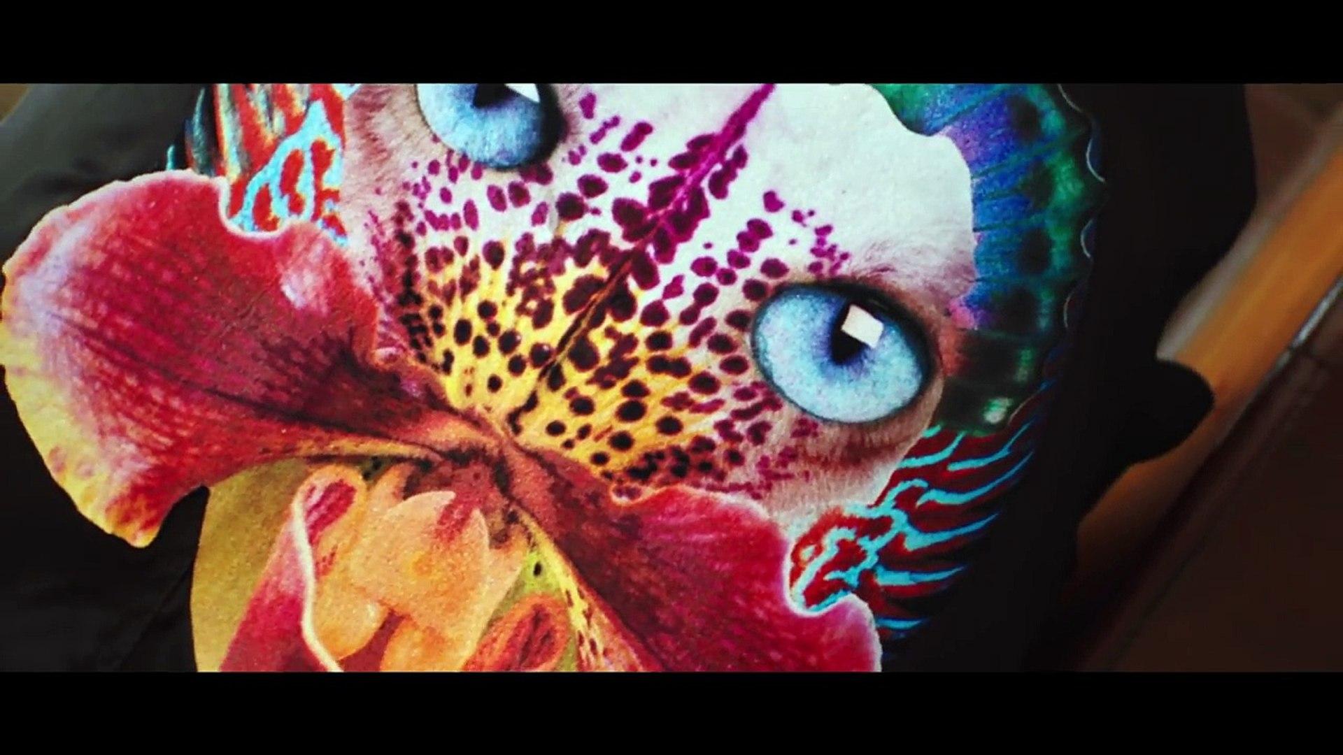 Galantis No Money Wallpapers - Wallpaper Cave