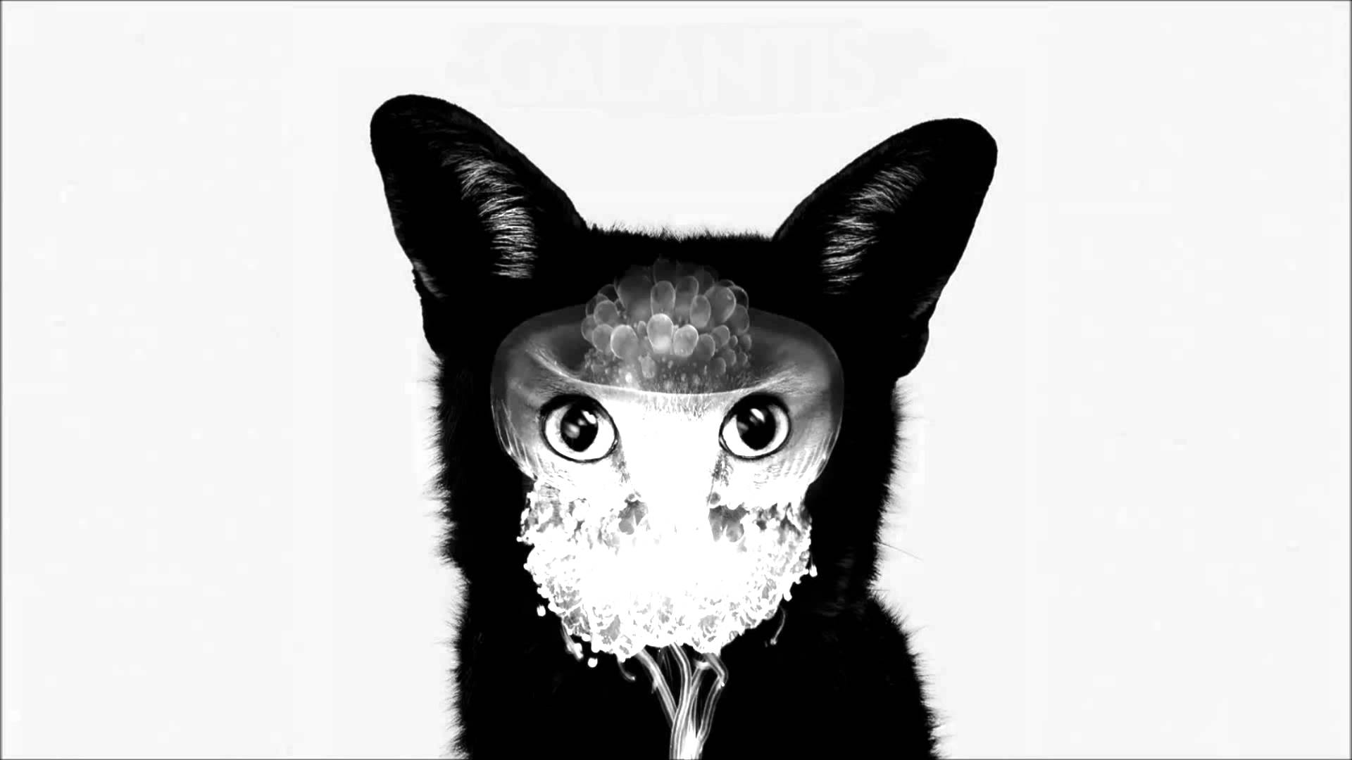 Galantis No Money Wallpapers - Wallpaper Cave