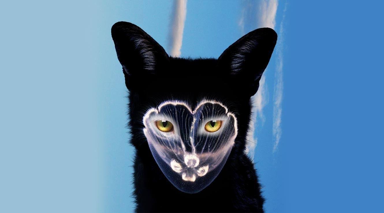 Galantis No Money Wallpapers - Wallpaper Cave