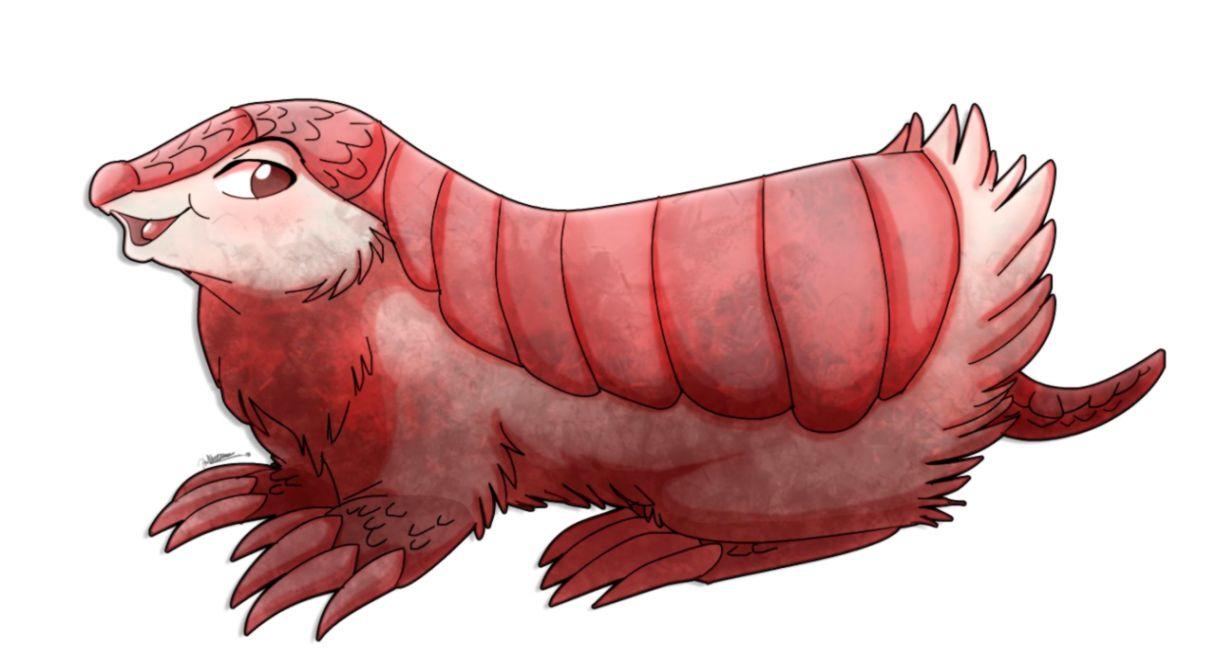 Pink Fairy Armadillo Wallpapers - Wallpaper Cave
