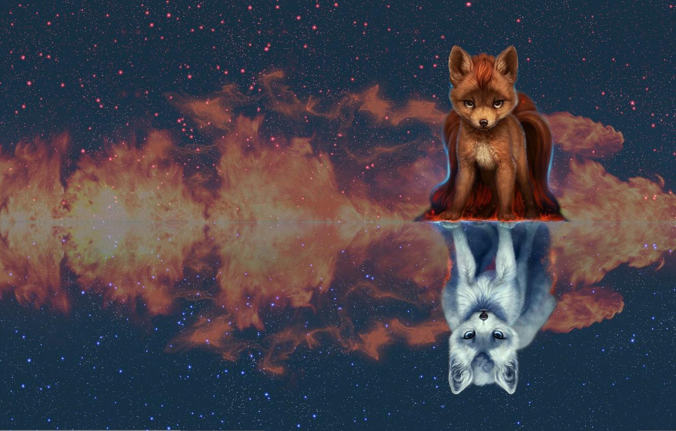 Ninetales Pokémon Wallpapers - Wallpaper Cave