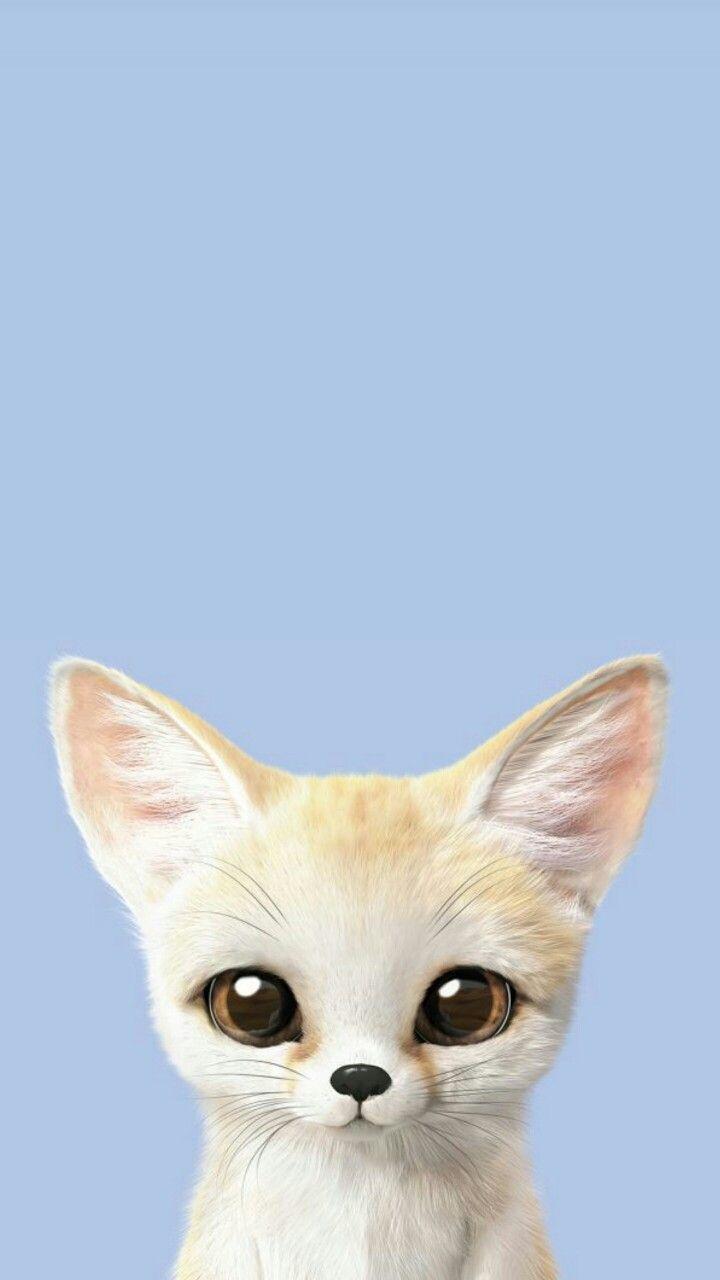 Cat-fox Wallpapers - Wallpaper Cave