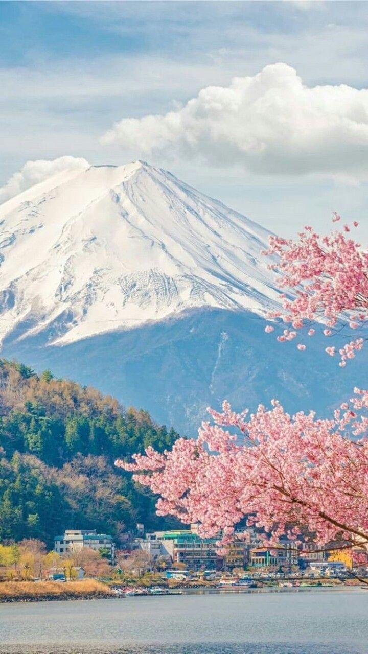 Spring Flower Garden Mount Fuji Lake Kawaguchi Wallpapers - Wallpaper Cave