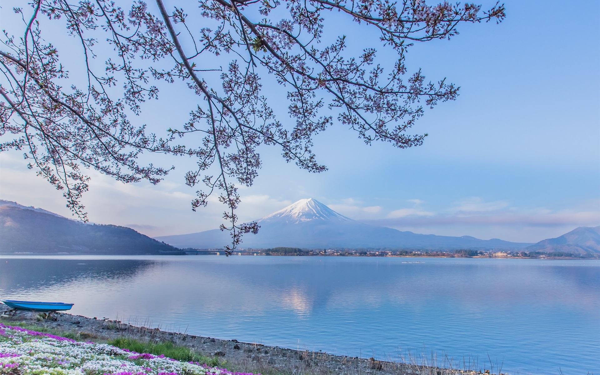 Spring Flower Garden Mount Fuji Lake Kawaguchi Wallpapers - Wallpaper Cave