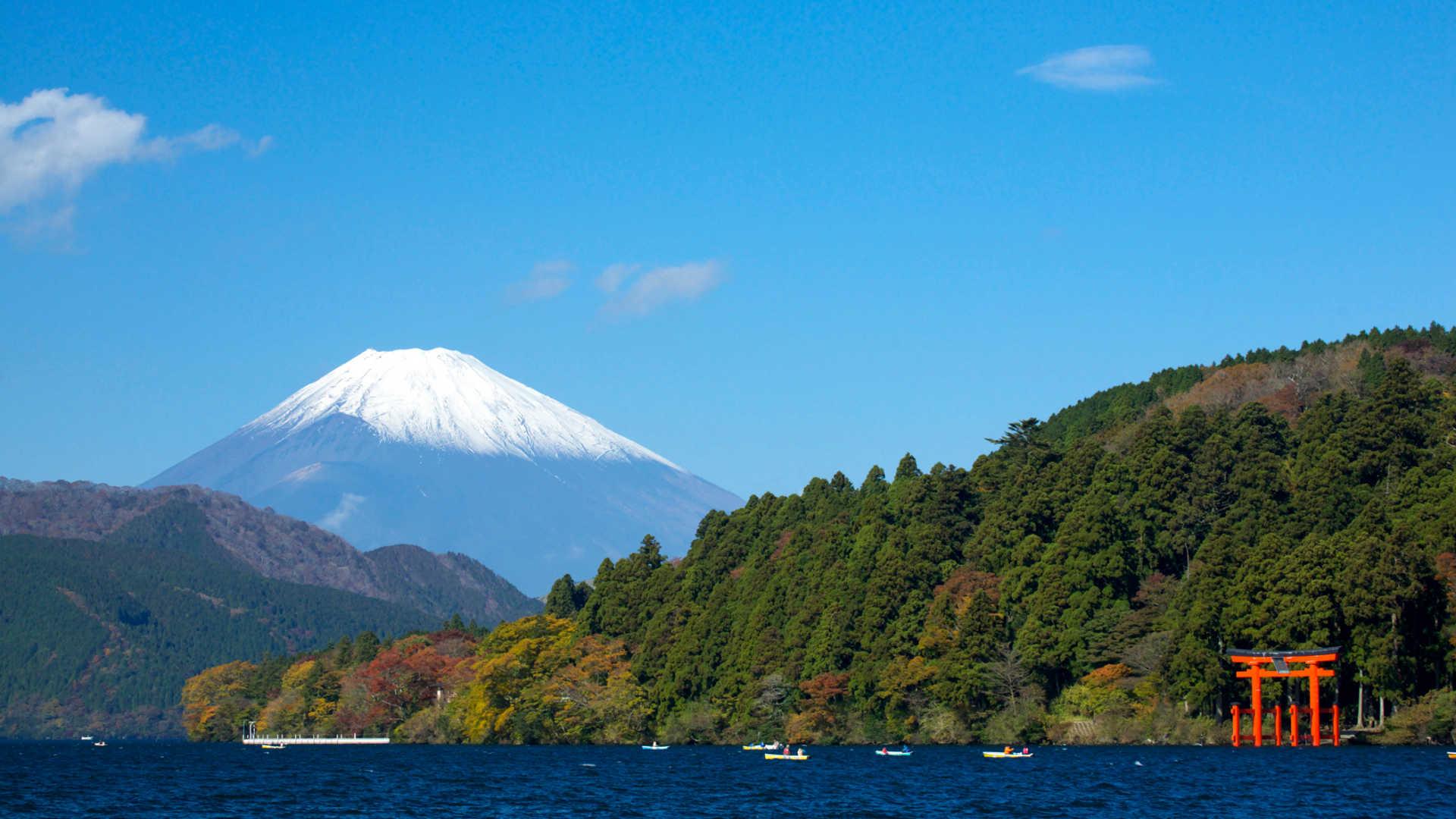 Spring Flower Garden Mount Fuji Lake Kawaguchi Wallpapers - Wallpaper Cave