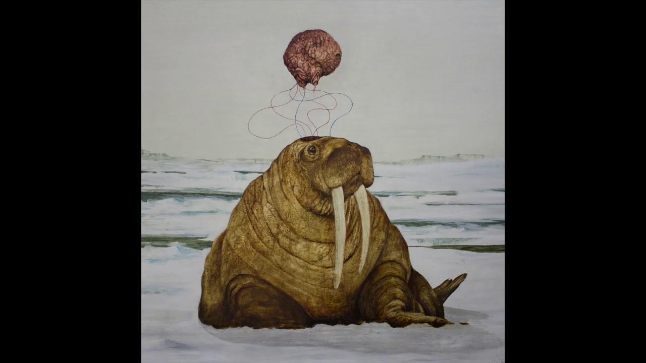 Tanya Tagaq Snowblind Wallpapers - Wallpaper Cave Tanya Tagaq Snowblind Wallpapers - Wallpaper Cave