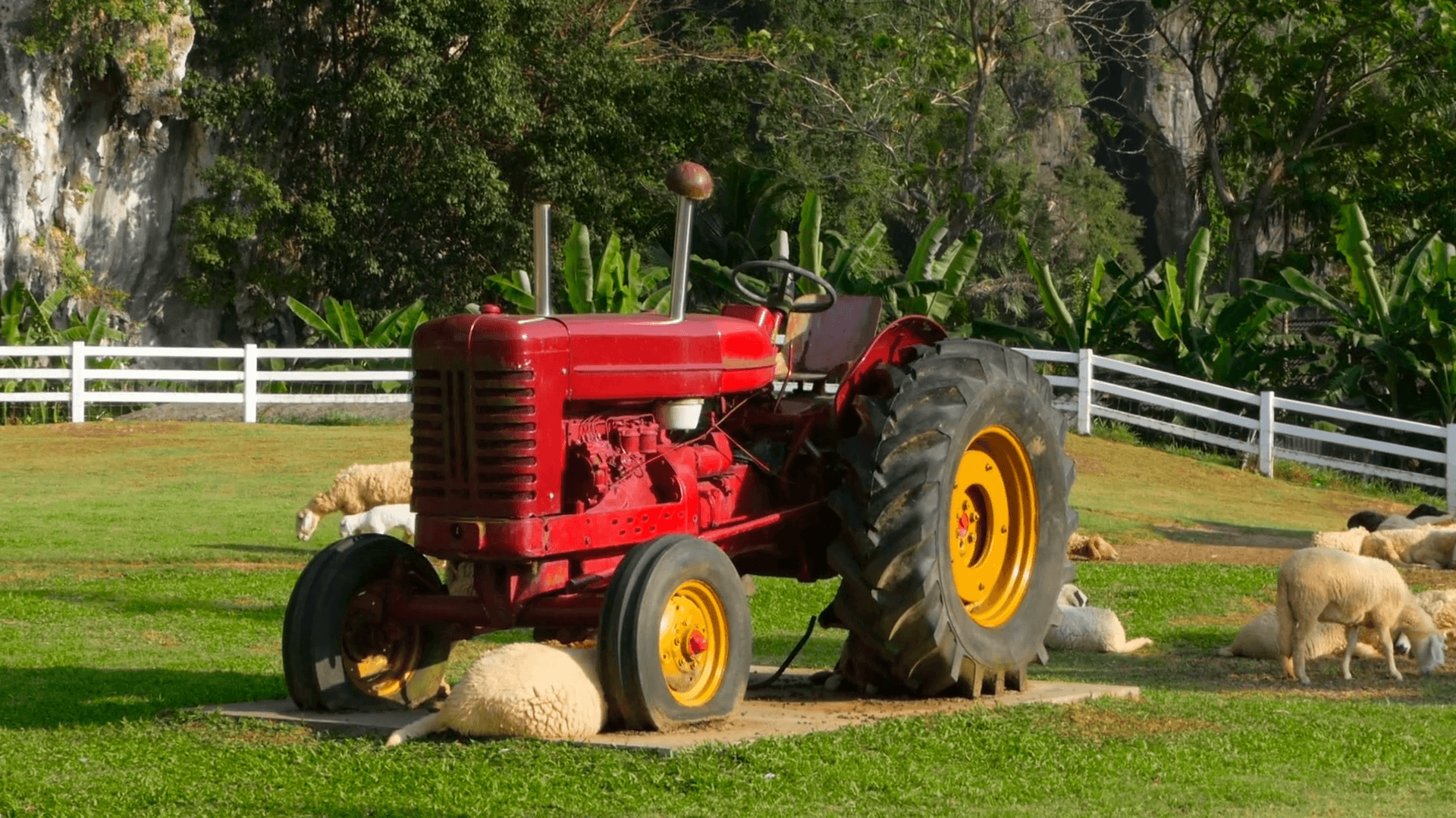 Red Tractor Wallpapers - Wallpaper Cave