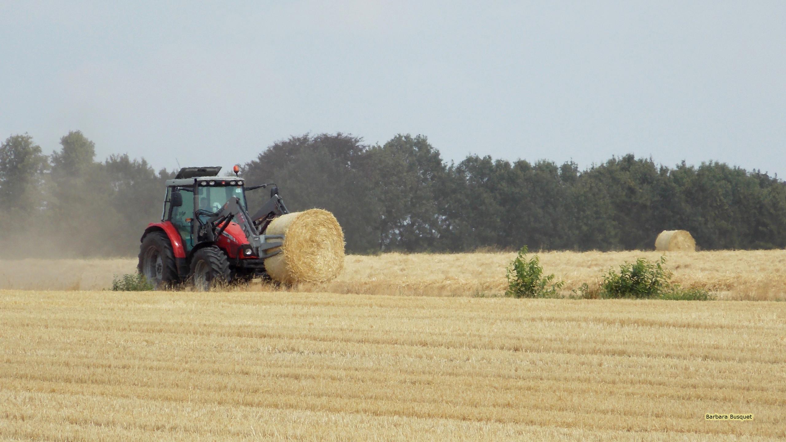 Red Tractor Wallpapers - Wallpaper Cave