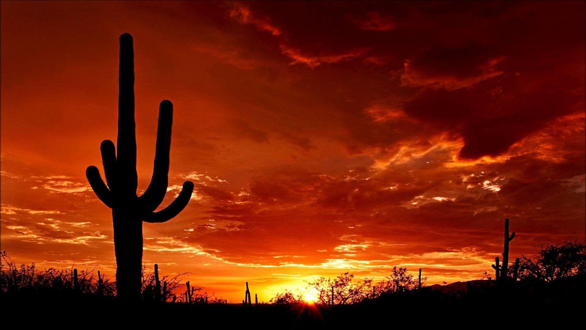 Western Sunset Wallpapers Wallpaper Cave Western Sunset Wallpapers Wallpaper Cave