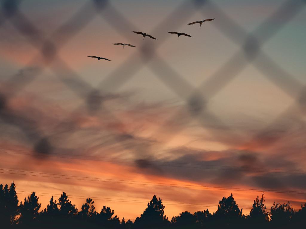 Western Sunset Wallpapers - Wallpaper Cave