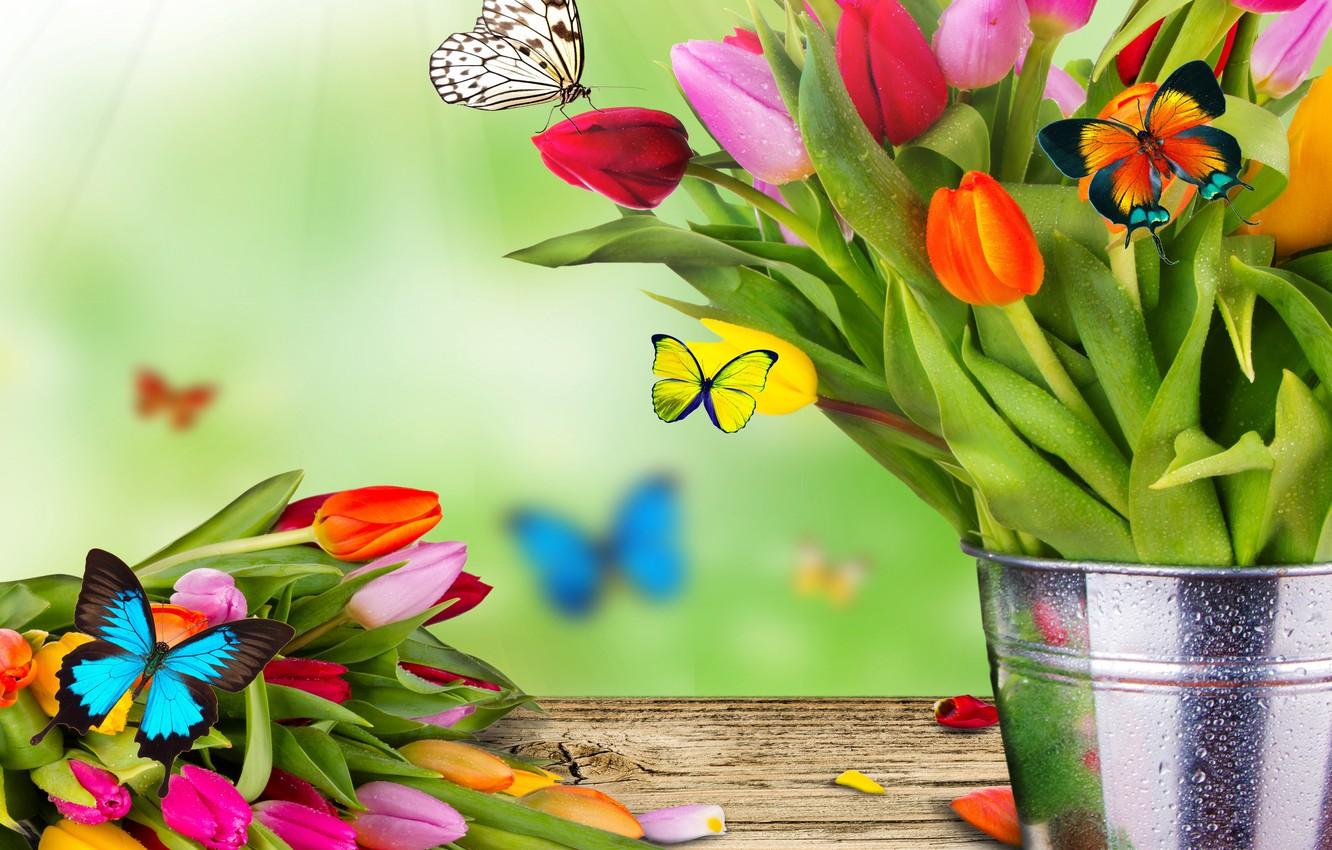 Butterfly Bouquet Wallpapers - Wallpaper Cave