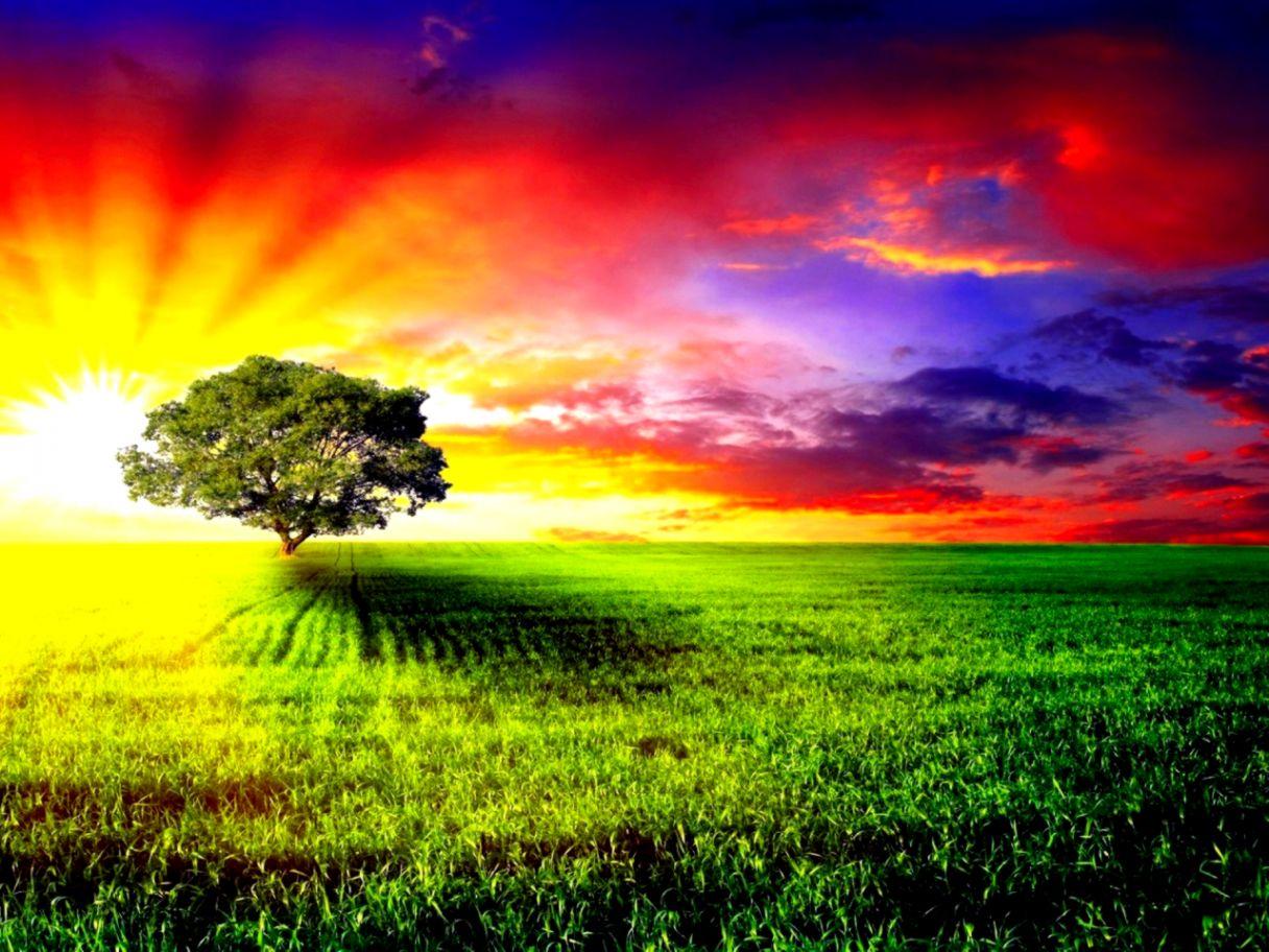 Fields Wallpapers - Wallpaper Cave