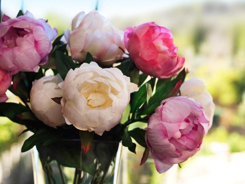 Summer Peonies Wallpapers - Wallpaper Cave