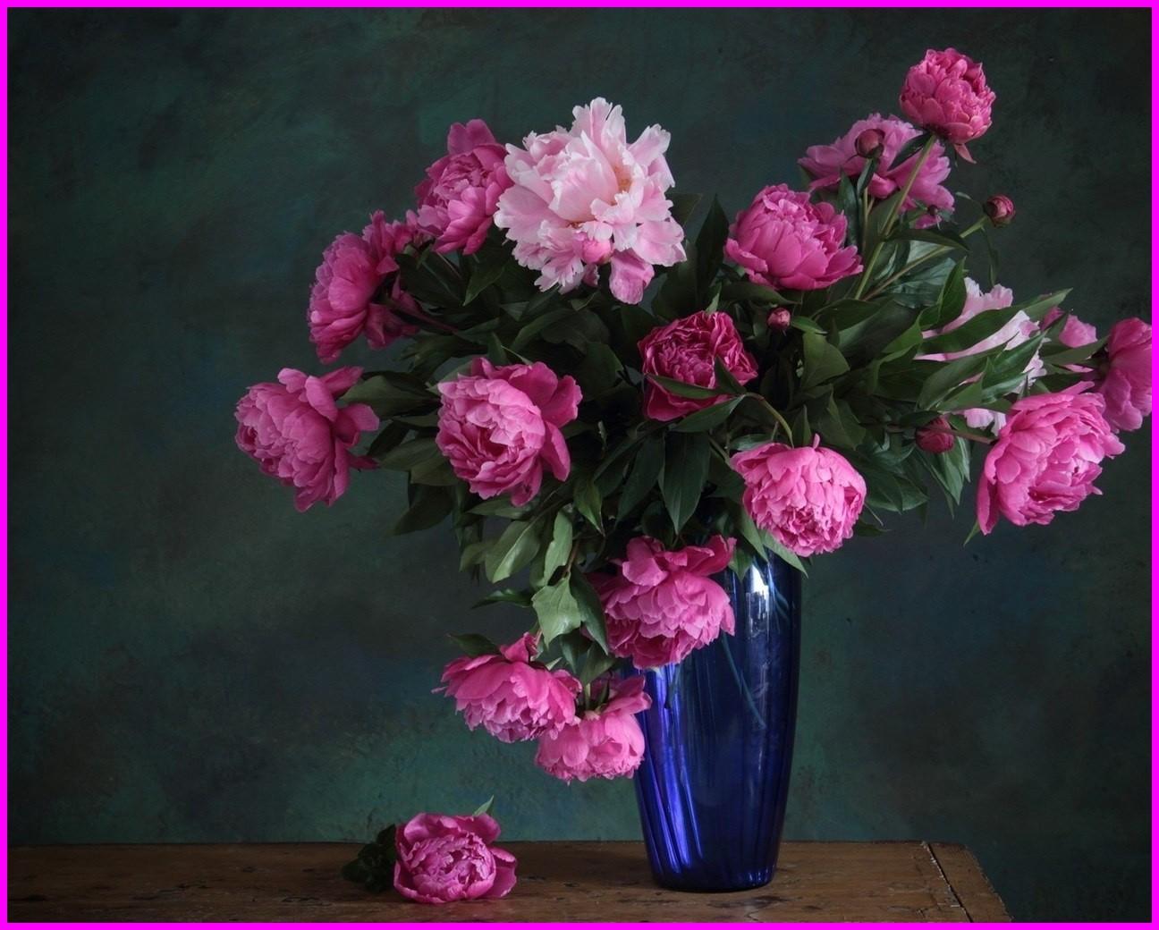 Summer Peonies Wallpapers - Wallpaper Cave