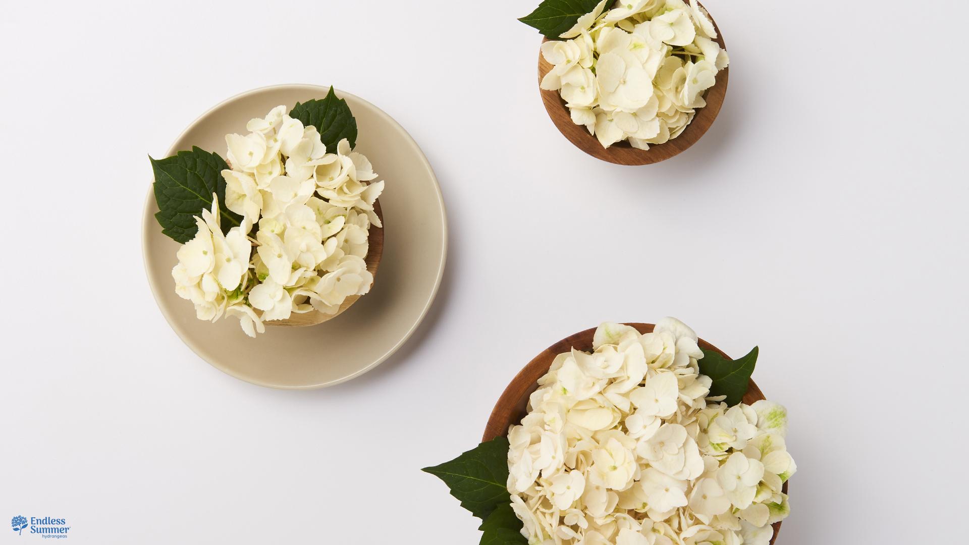 Snack Wallpapers - Wallpaper Cave