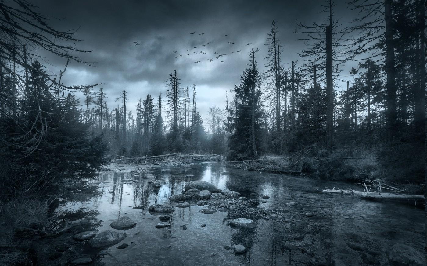 Morning River Wallpapers - Wallpaper Cave