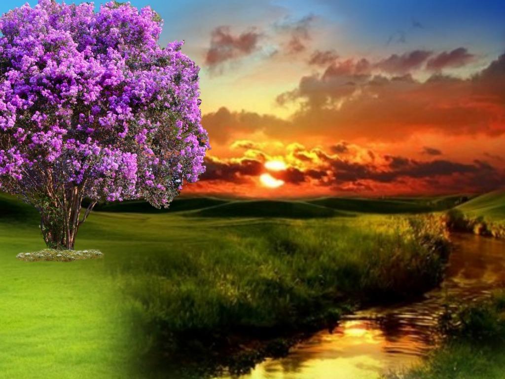 Morning River Wallpapers - Wallpaper Cave