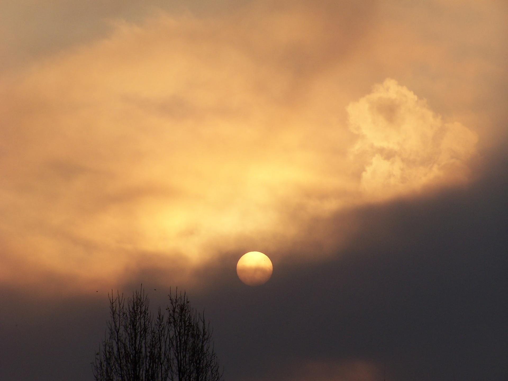 Rise Wallpapers - Wallpaper Cave