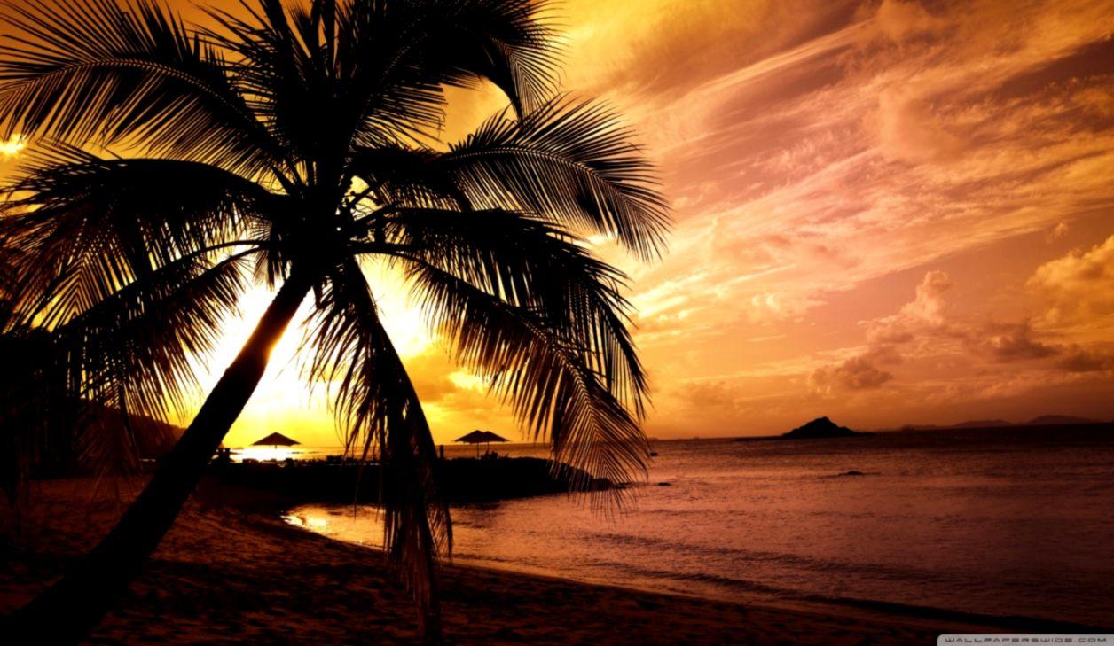 Tropical Sunset Wallpapers - Wallpaper Cave