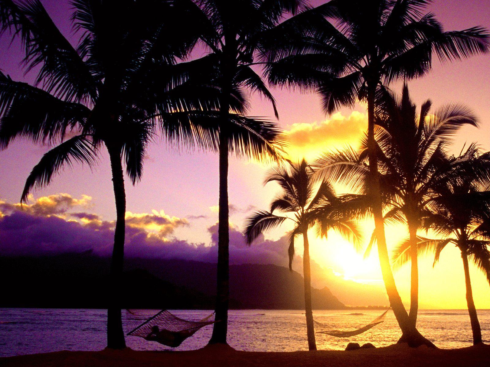 Tropical Sunset Wallpapers - Wallpaper Cave