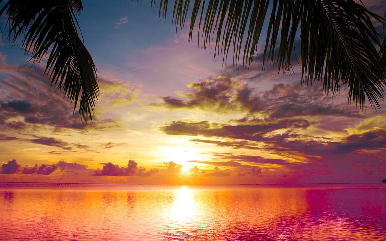 Tropical Sunset Wallpapers - Wallpaper Cave