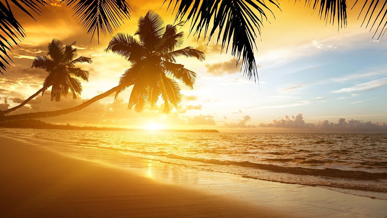 Beach Life Wallpapers - Wallpaper Cave
