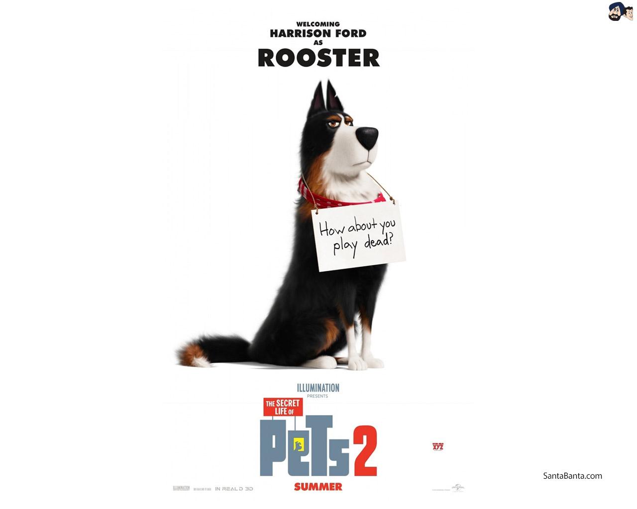 Pets 2 Wallpapers - Wallpaper Cave