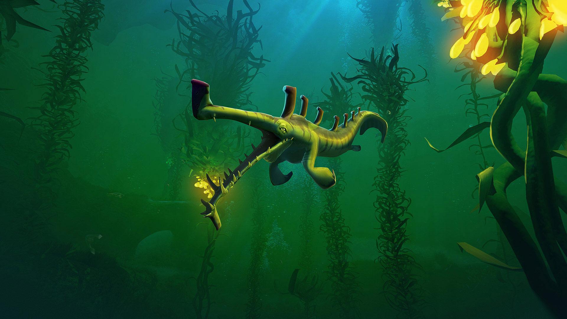 Peeper Wallpapers - Wallpaper Cave