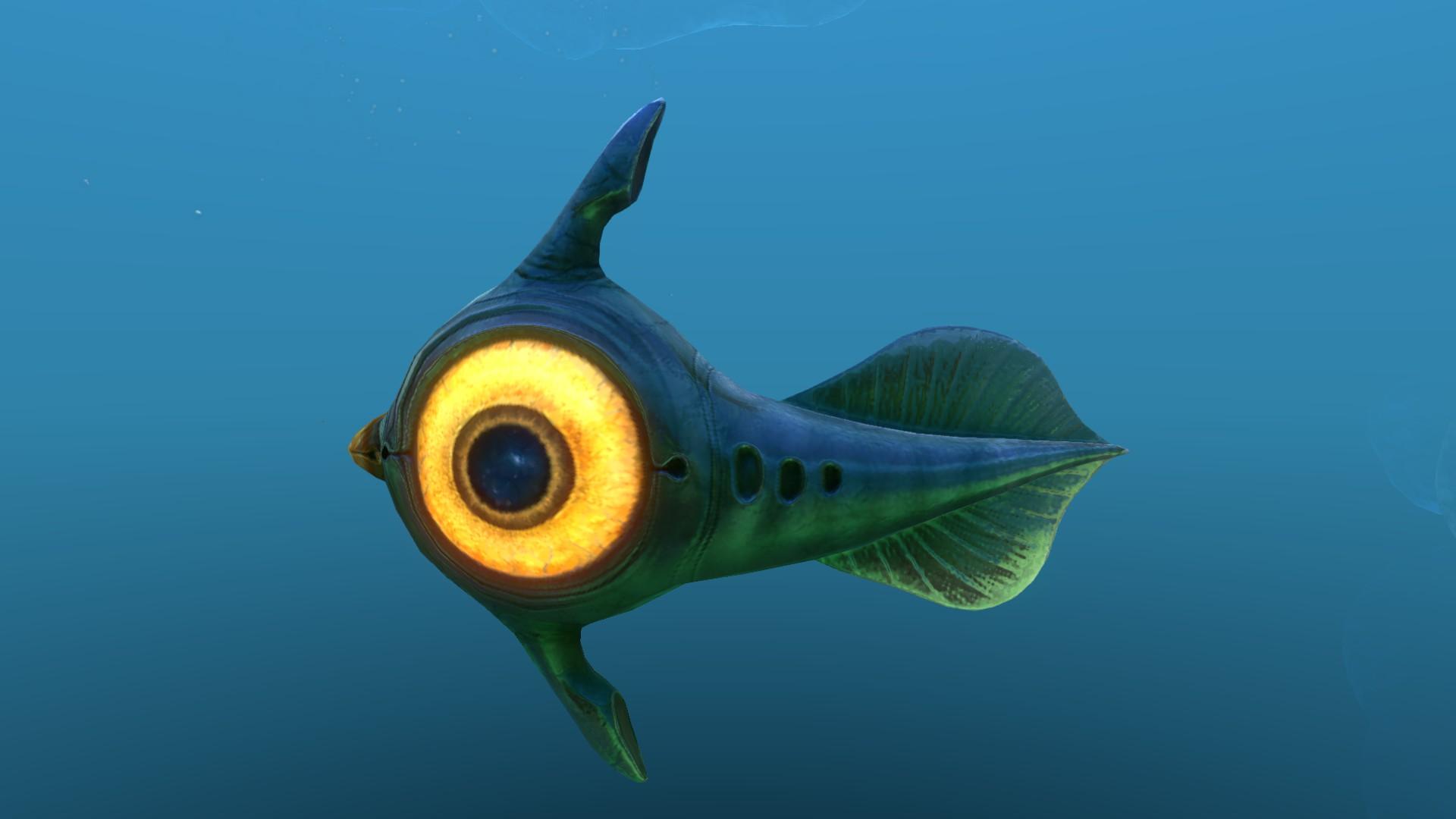 Peeper Wallpapers - Wallpaper Cave