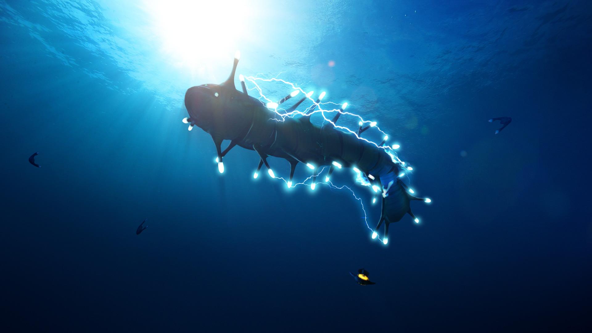 Peeper Wallpapers - Wallpaper Cave