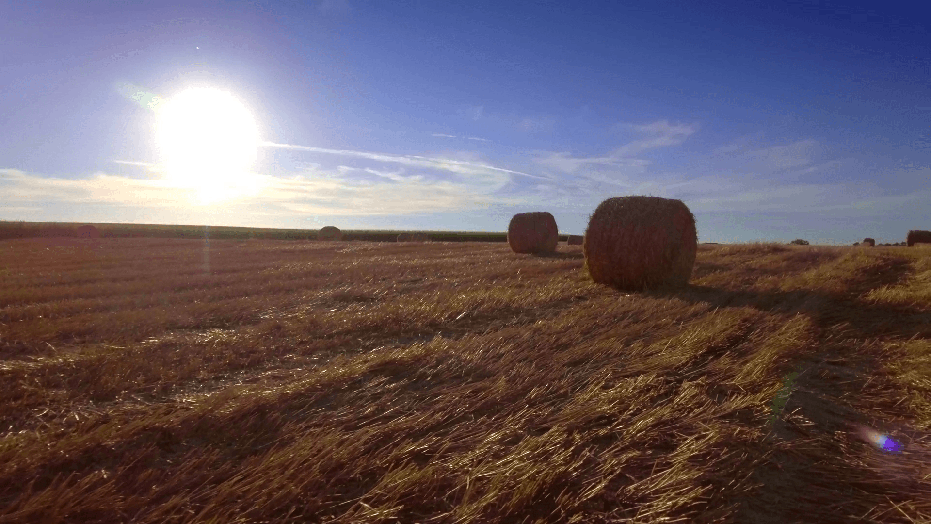 Summer Afternoon Farm Wallpapers - Wallpaper Cave