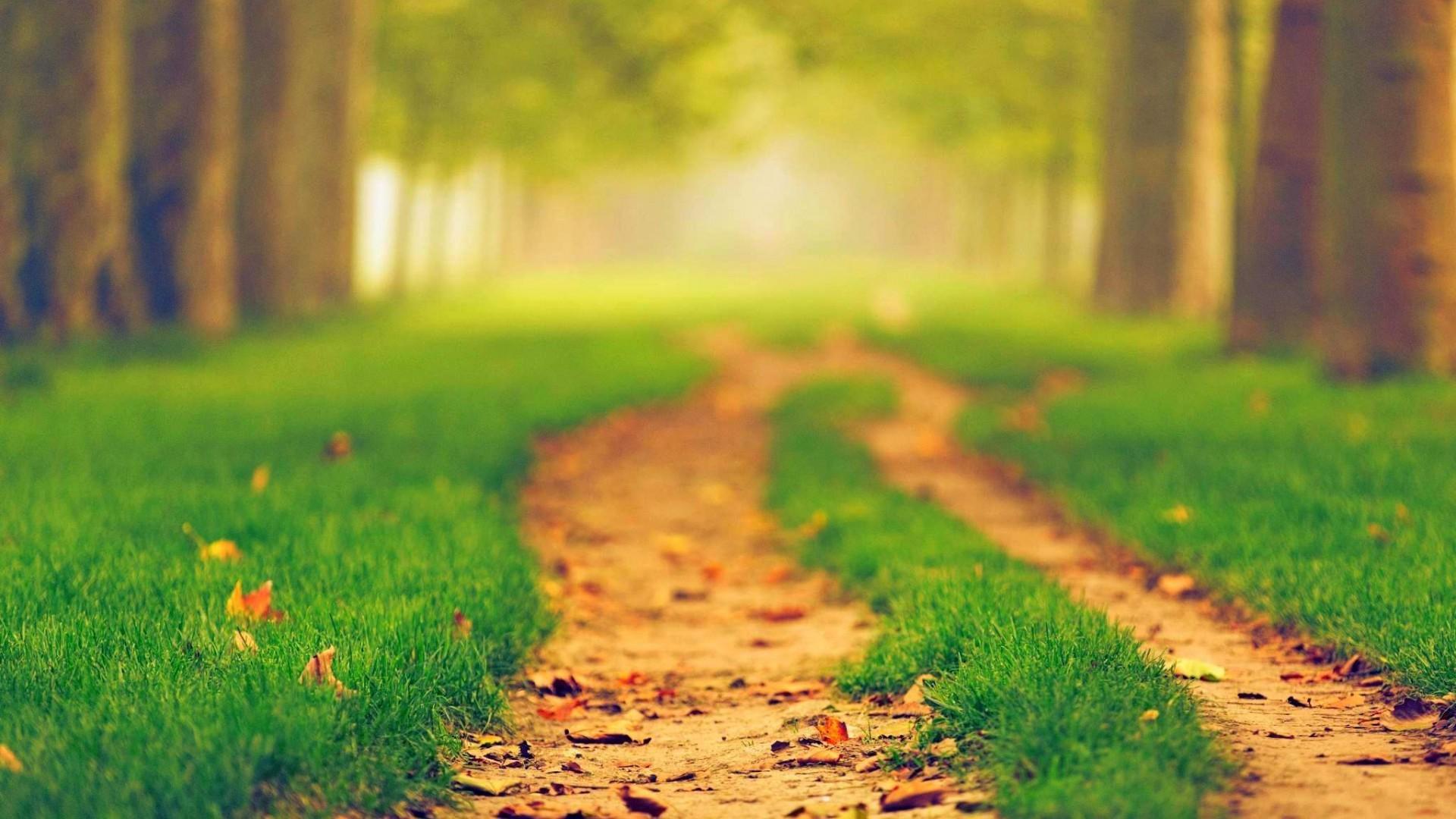 Light Path Wallpapers Wallpaper Cave
