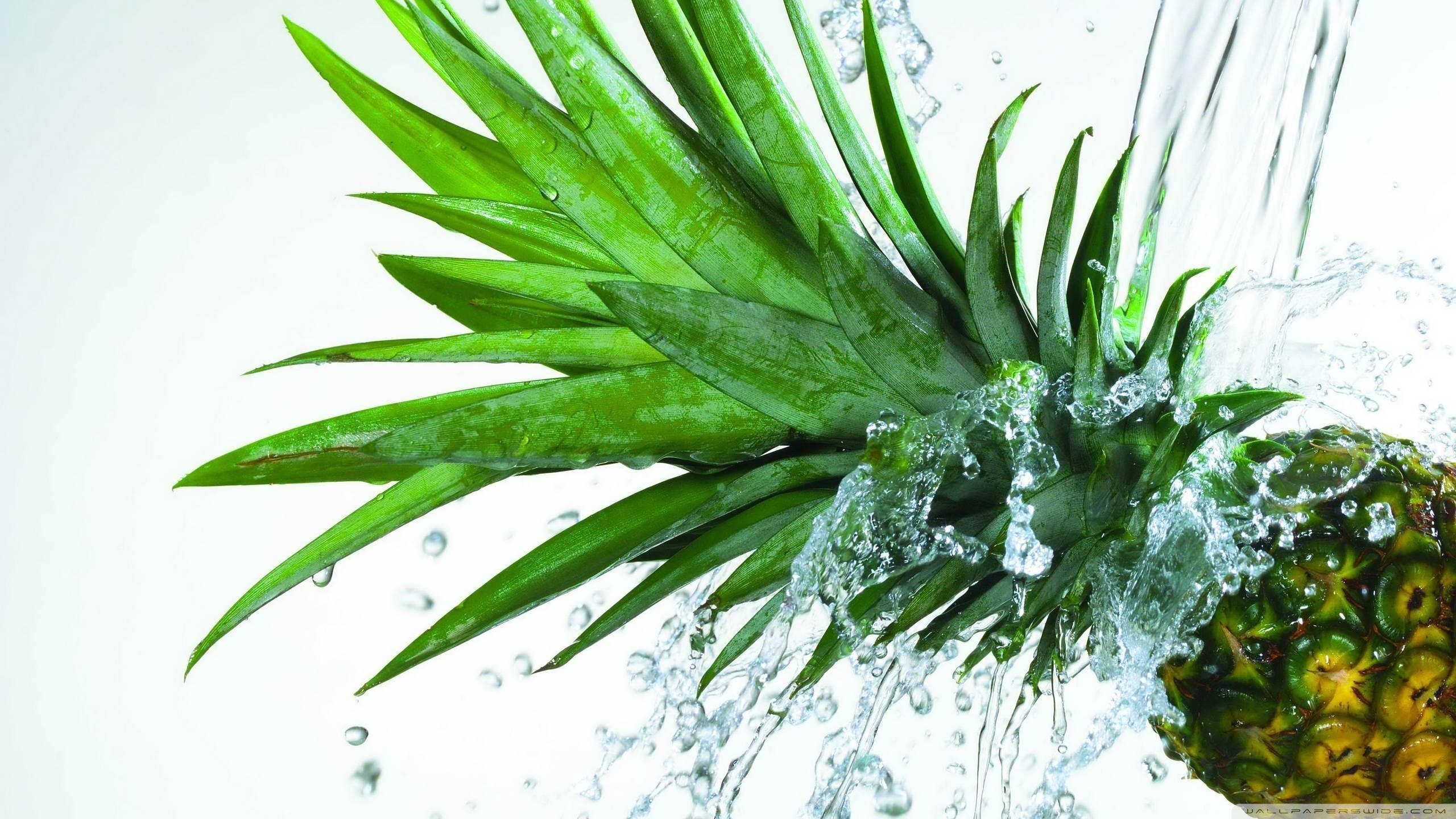 Pineapples HD Wallpapers - Wallpaper Cave