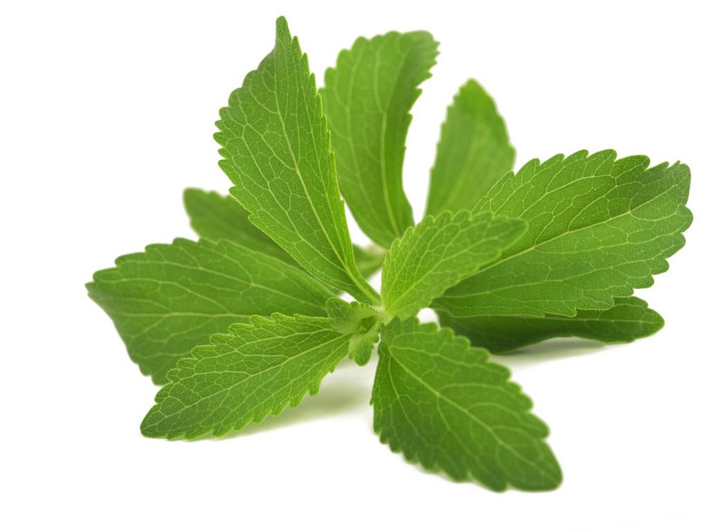 Sweetener Stevia Wallpapers - Wallpaper Cave