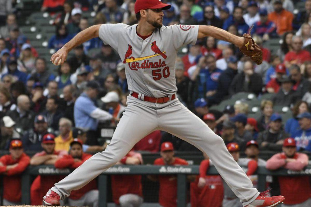 Adam Wainwright Wallpapers - Wallpaper Cave