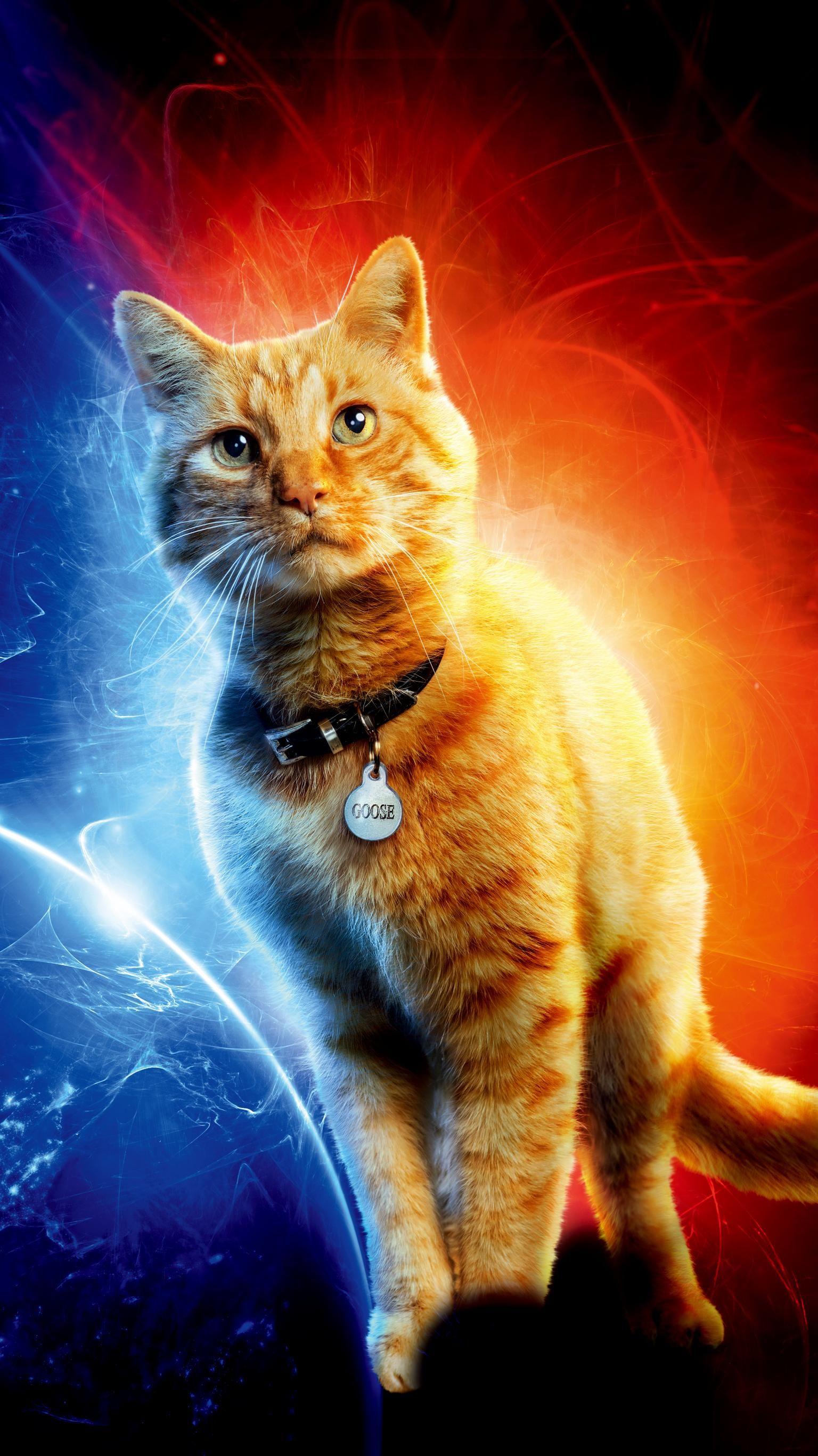 Captain Marvel Goose Wallpapers - Wallpaper Cave
