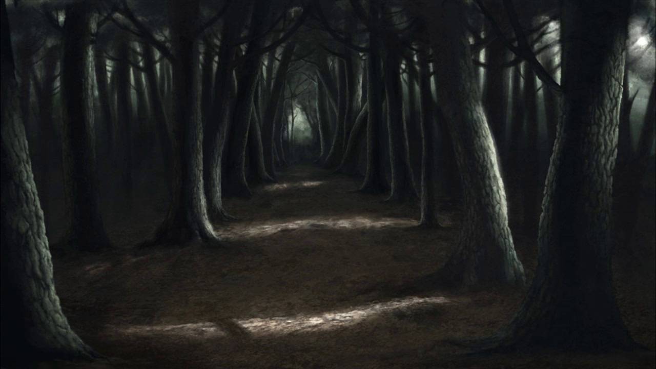 Silent Forest Wallpapers - Wallpaper Cave
